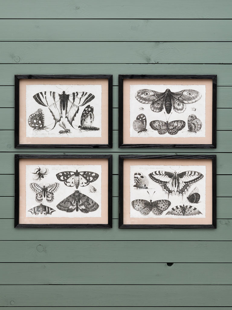 Set de 4 cadres gravures papillons Chehoma | Retrodeco.fr