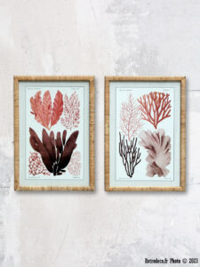 Set 2 cadres coraux rotin | Retrodeco.fr